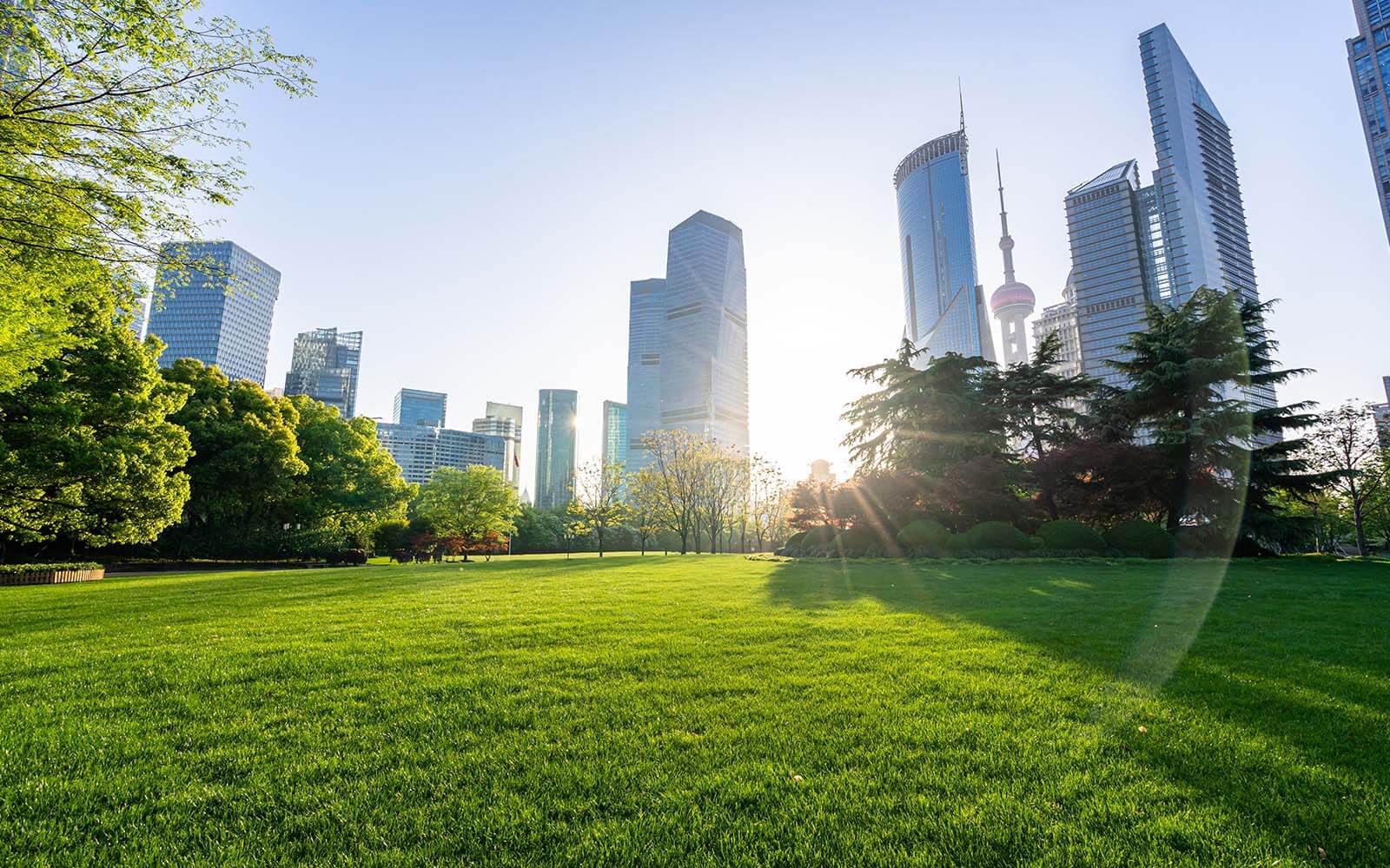 Navigating the Path Towards Sustainability | HSC Systems LTD